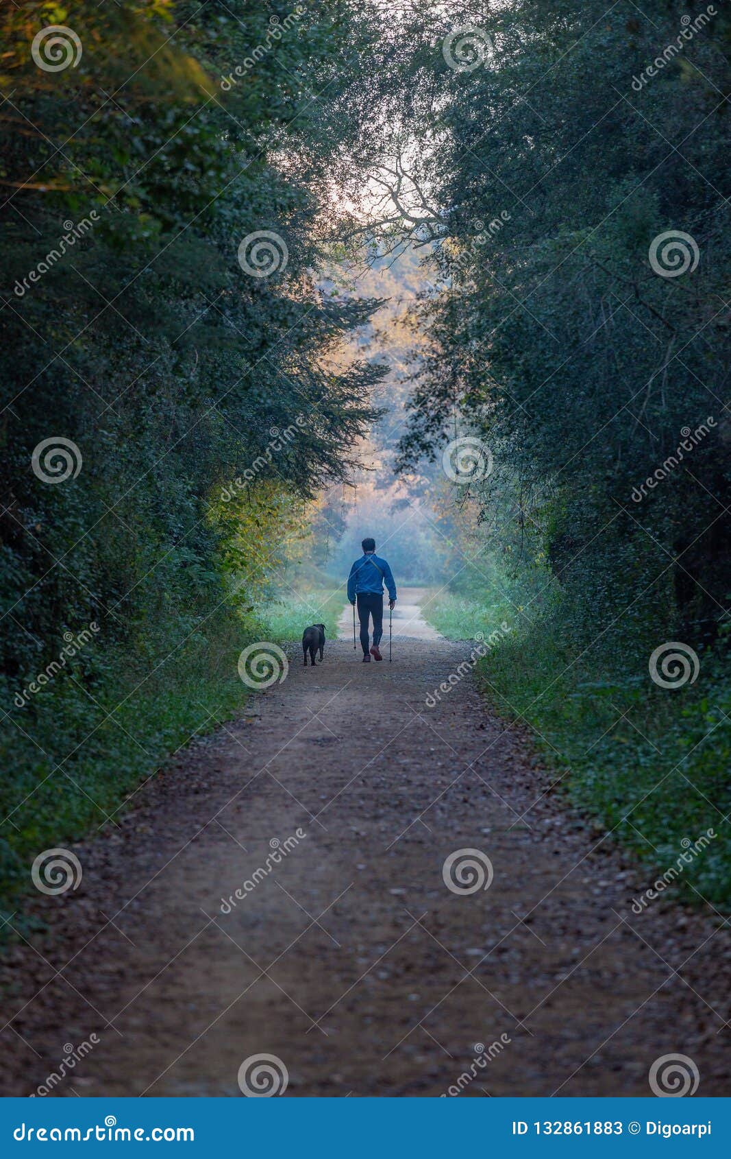 Man and Your Dog Walking in a Beautiful Path Stock Image - Image of ...