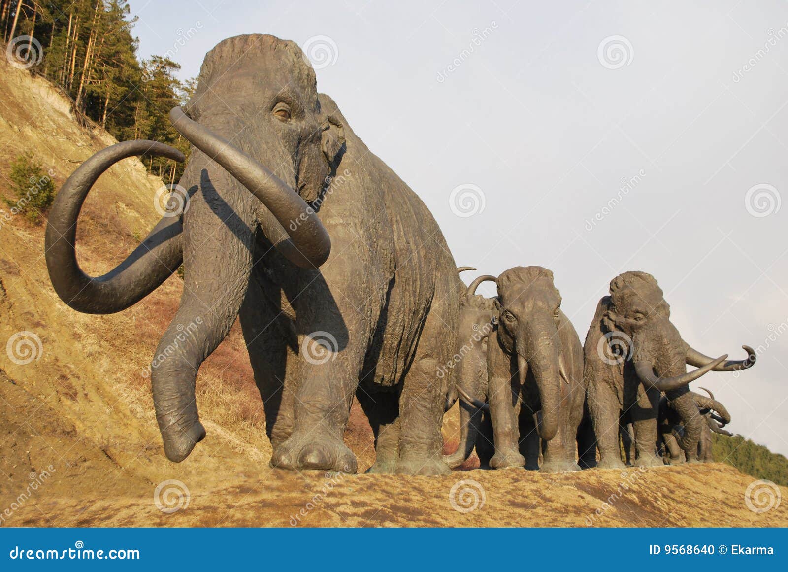 Manada De Mamuts Que Recorren Foto de archivo - Imagen de arcilla ...