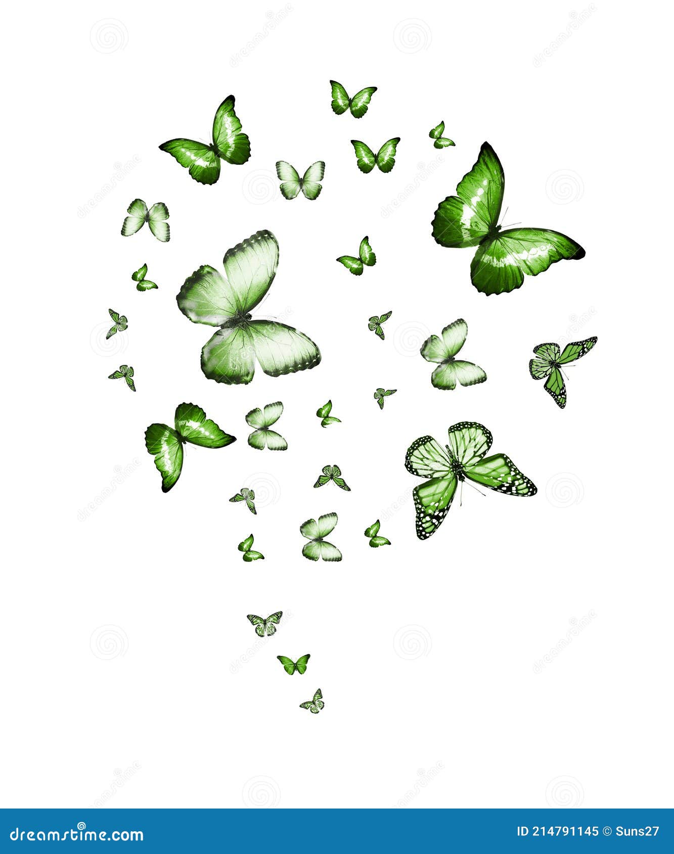 Manada De Mariposas Voladoras Aisladas Stock de ilustración ...