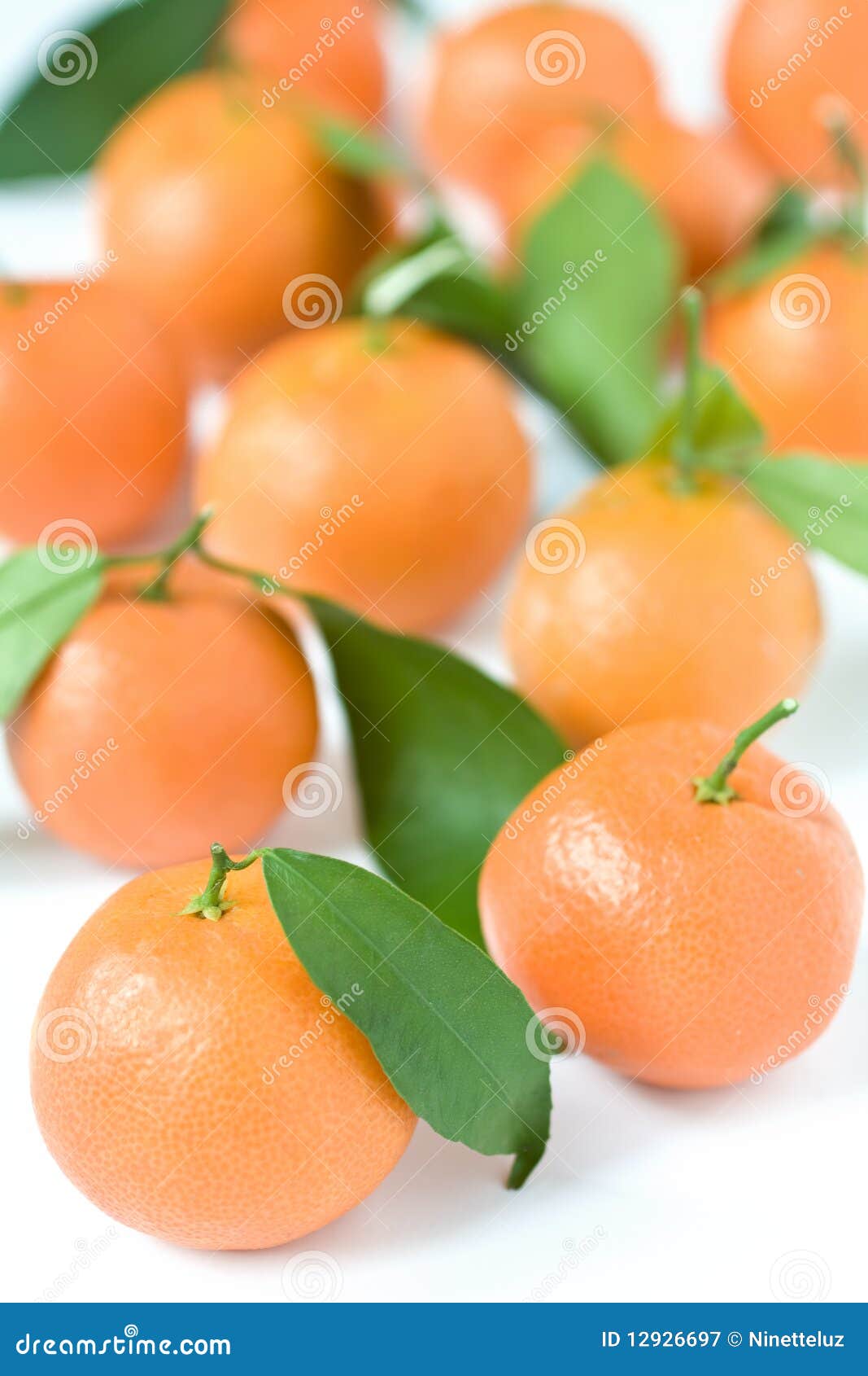 Manadrins stock image. Image of brightly, nature, citrus - 12926697