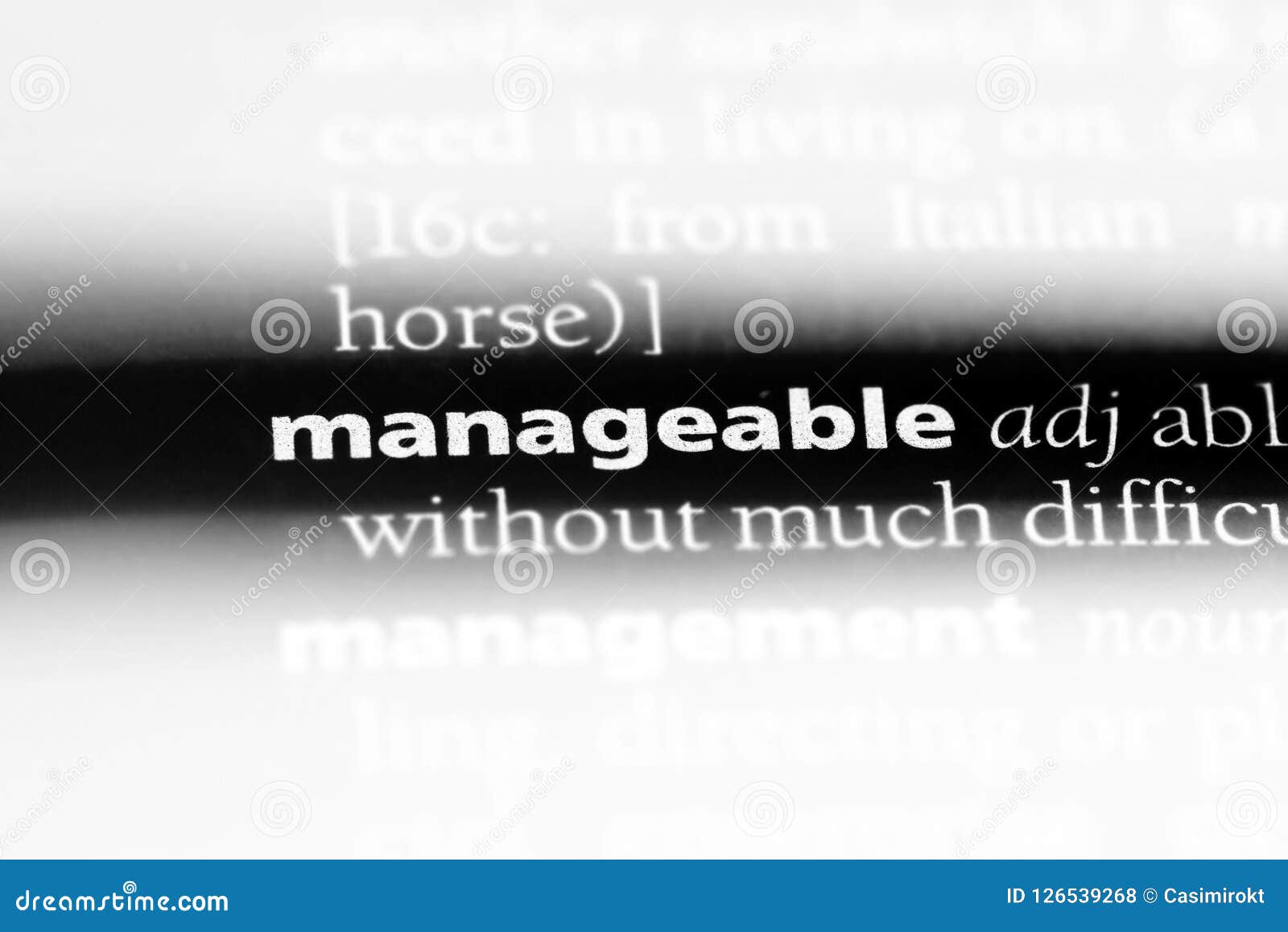Manageable stock photo. Image of concept, dictionary - 126539268