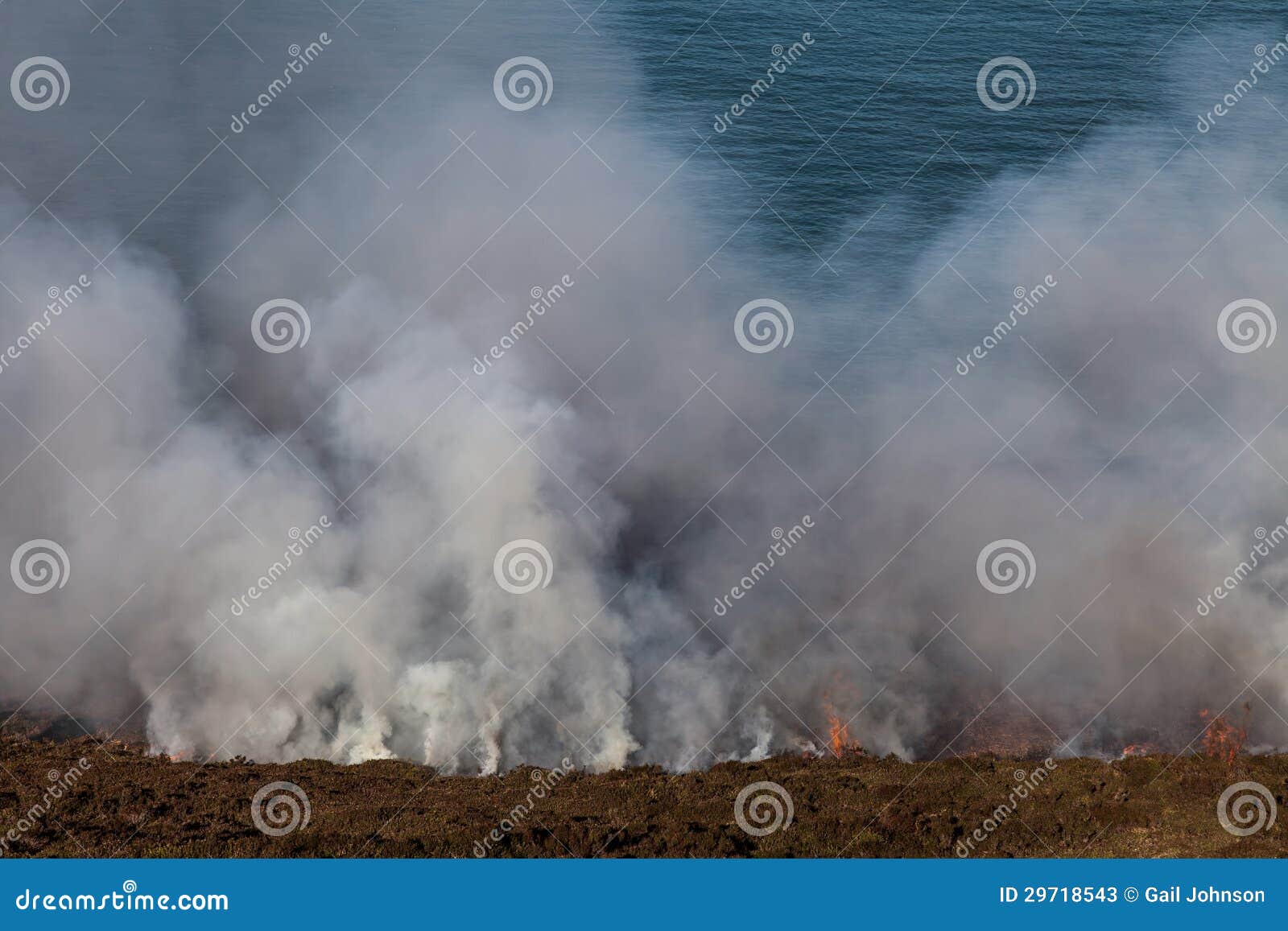 Heath Fire stock image. Image of coastal, heathland, stack - 29718543