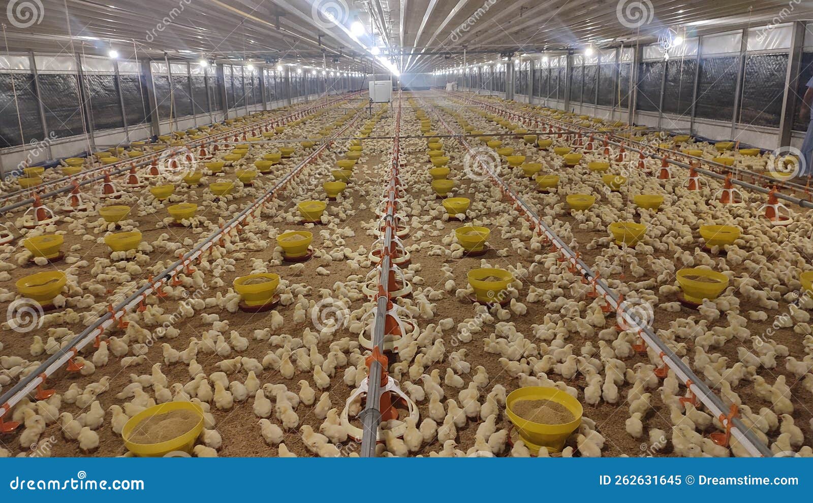 Close-up Of A House Model With Percentage Symbol Royalty-Free Stock ...