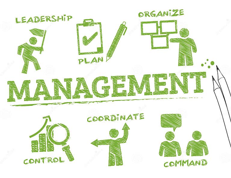 Management chart stock illustration. Illustration of attribute - 58161994