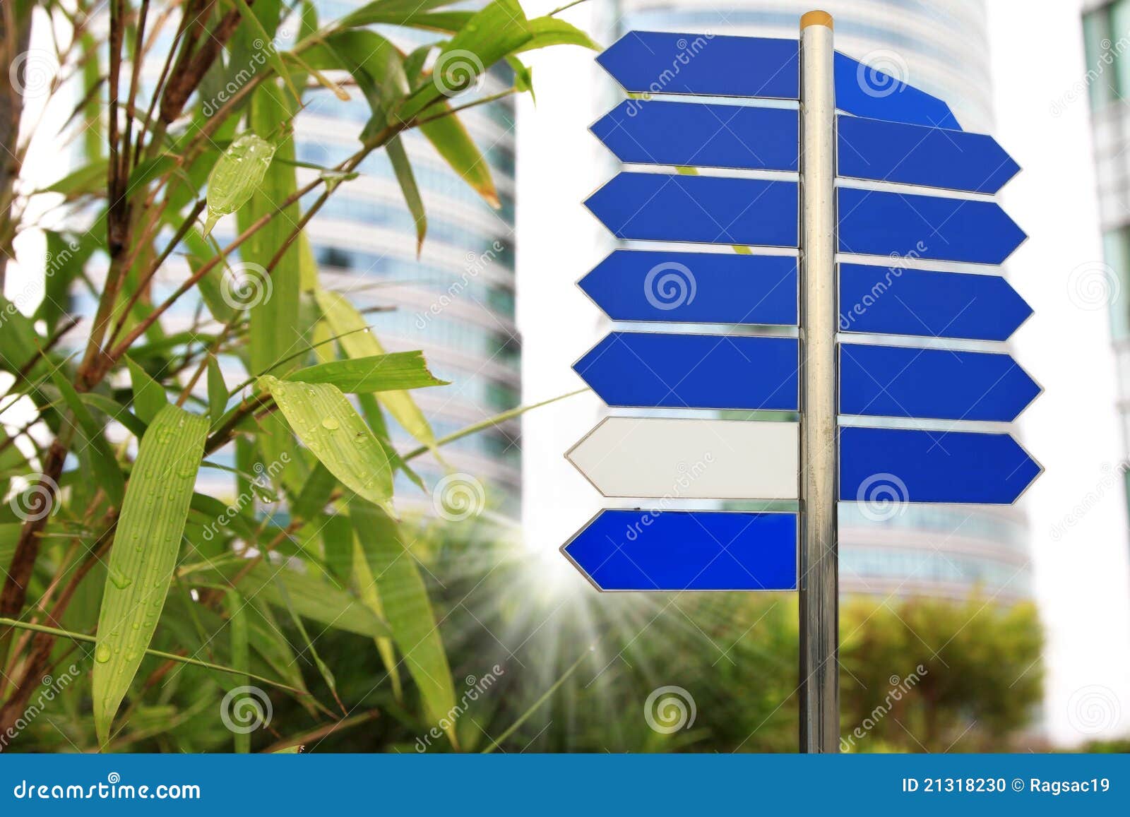 Management directions stock photo. Image of direction - 21318230