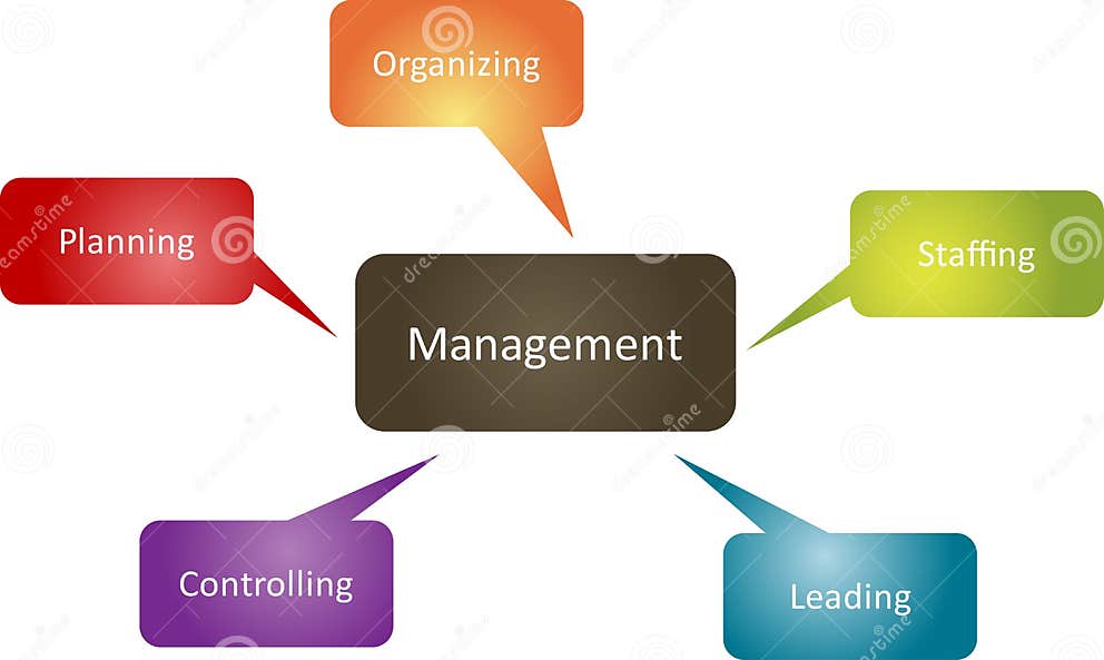 Management Function Business Diagram Stock Illustration - Illustration ...