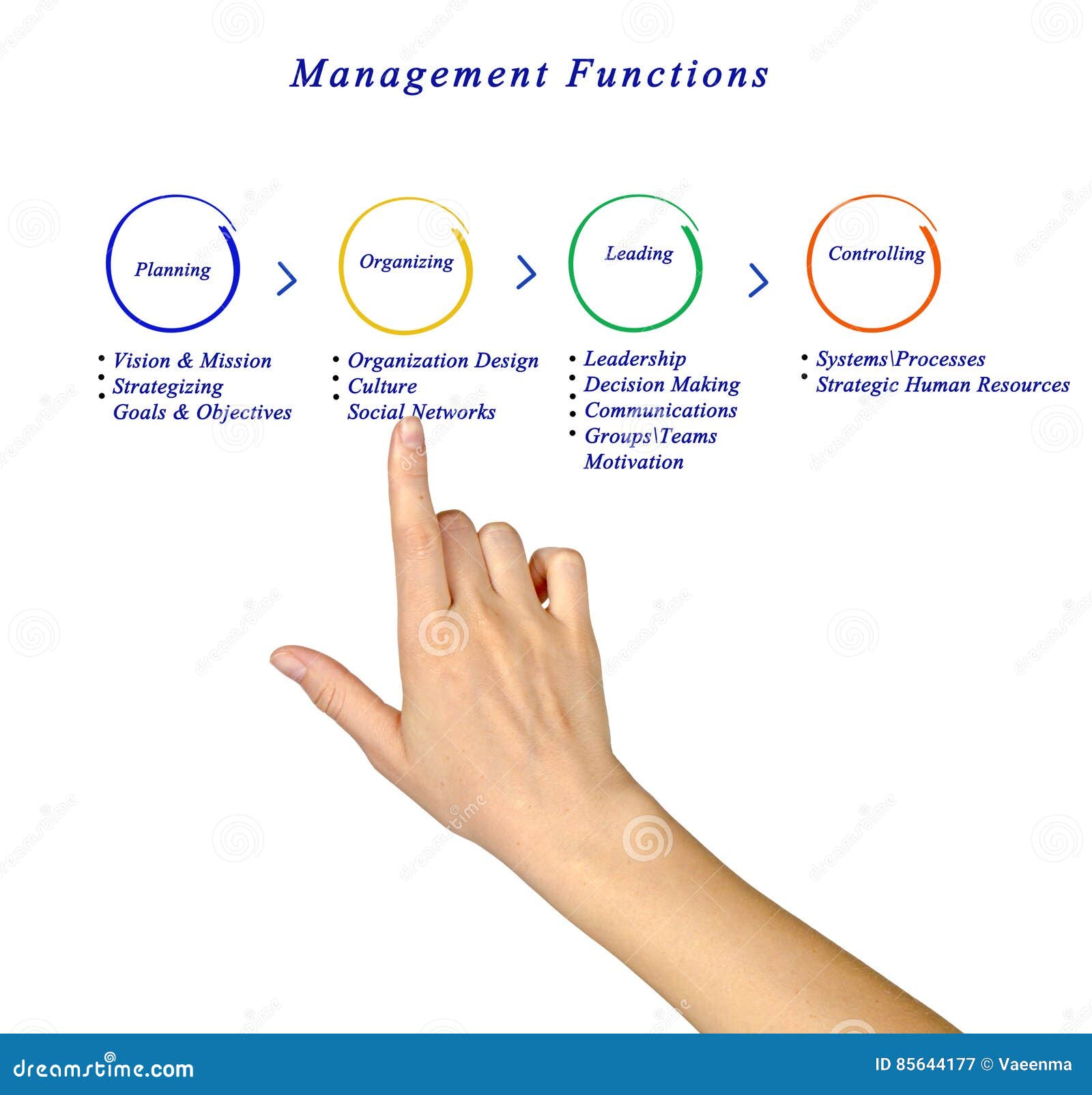 Management functions stock image. Image of organization - 85644177