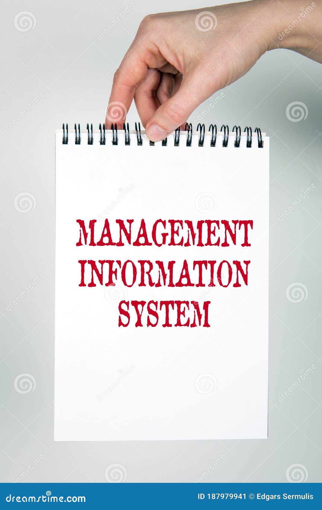 MIS Management Information System Symbol. Concept Words MIS Management ...