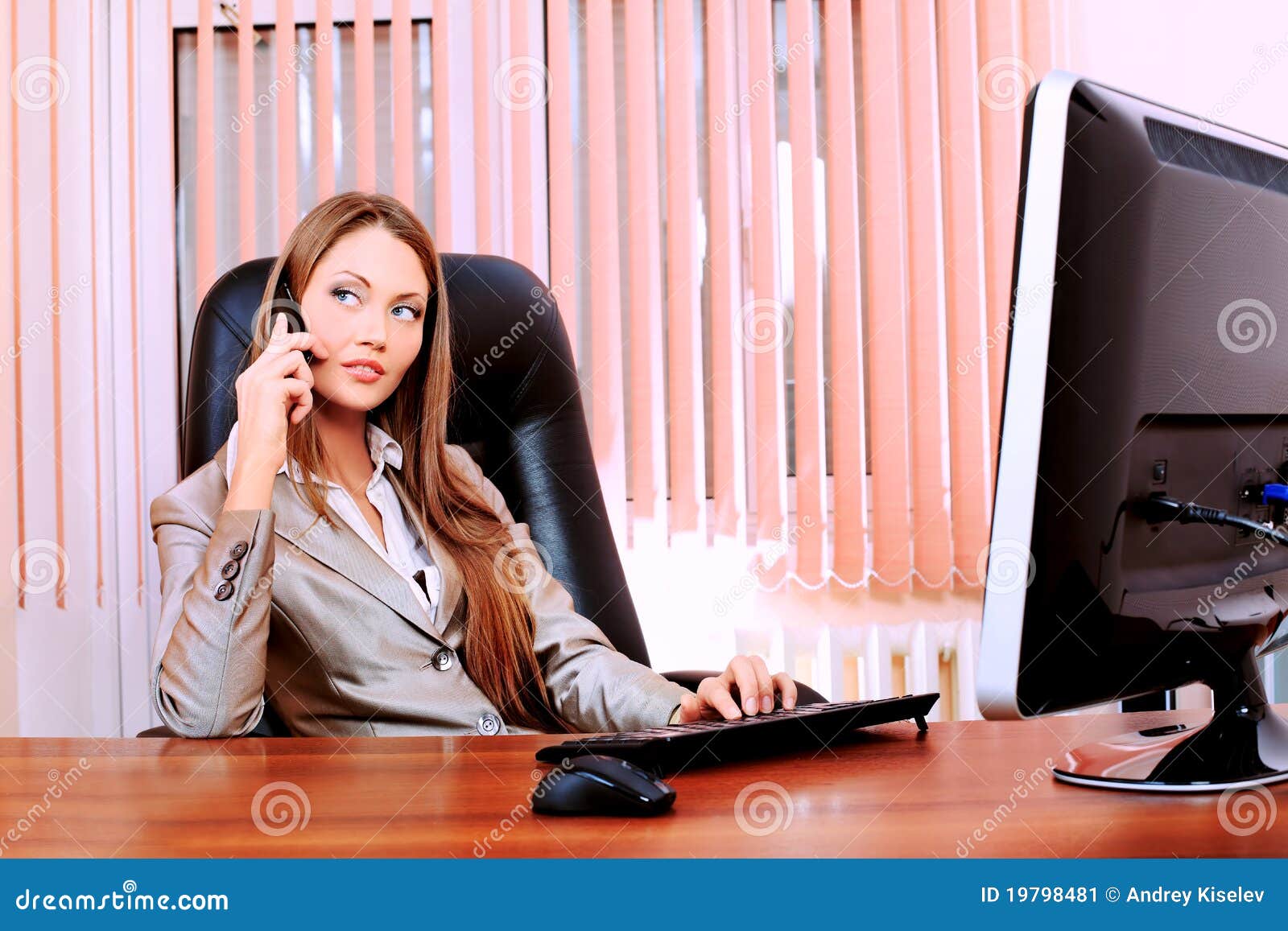 Manager stock afbeelding. Image of binnenlands, dame - 19798481