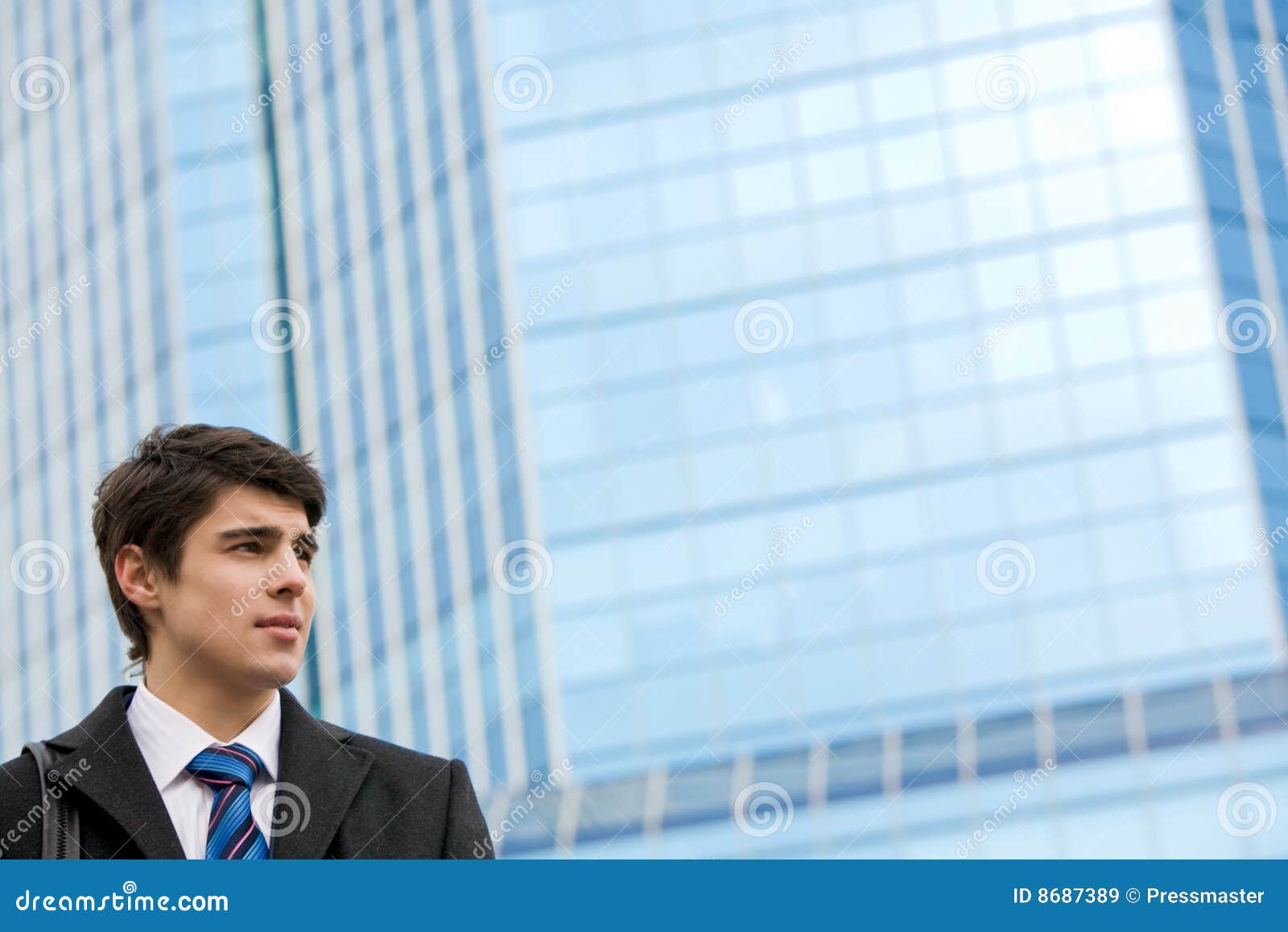 Manager stock image. Image of handsome, expertise, expression - 8687389