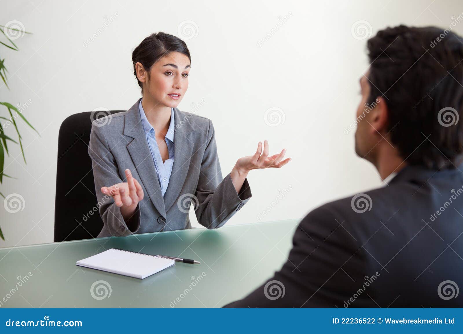 Manager Interviewing an Employee Stock Photo - Image of manager ...
