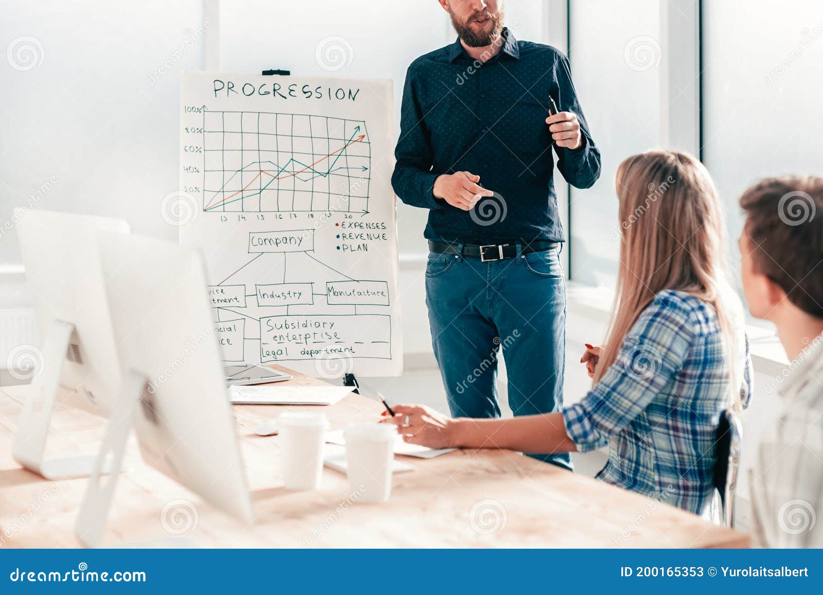 Manager Makes a Presentation of the New Project Stock Image - Image of ...