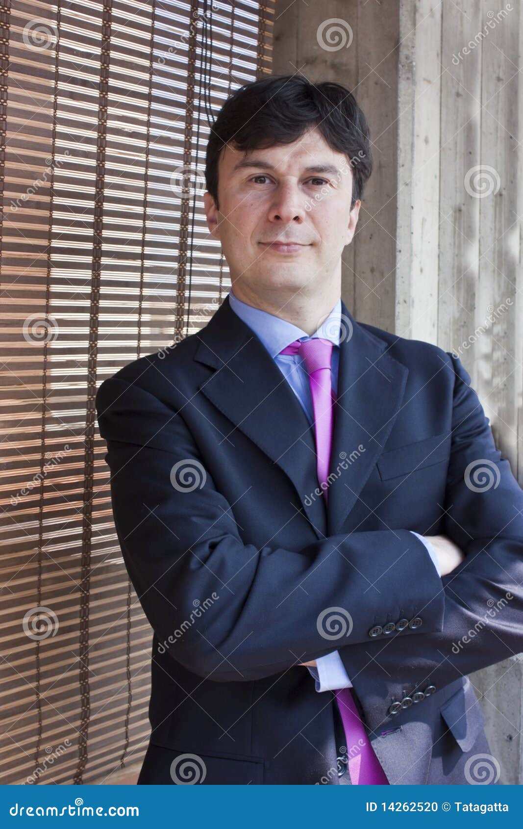 Manager Portrait stock photo. Image of financial, consultant - 14262520