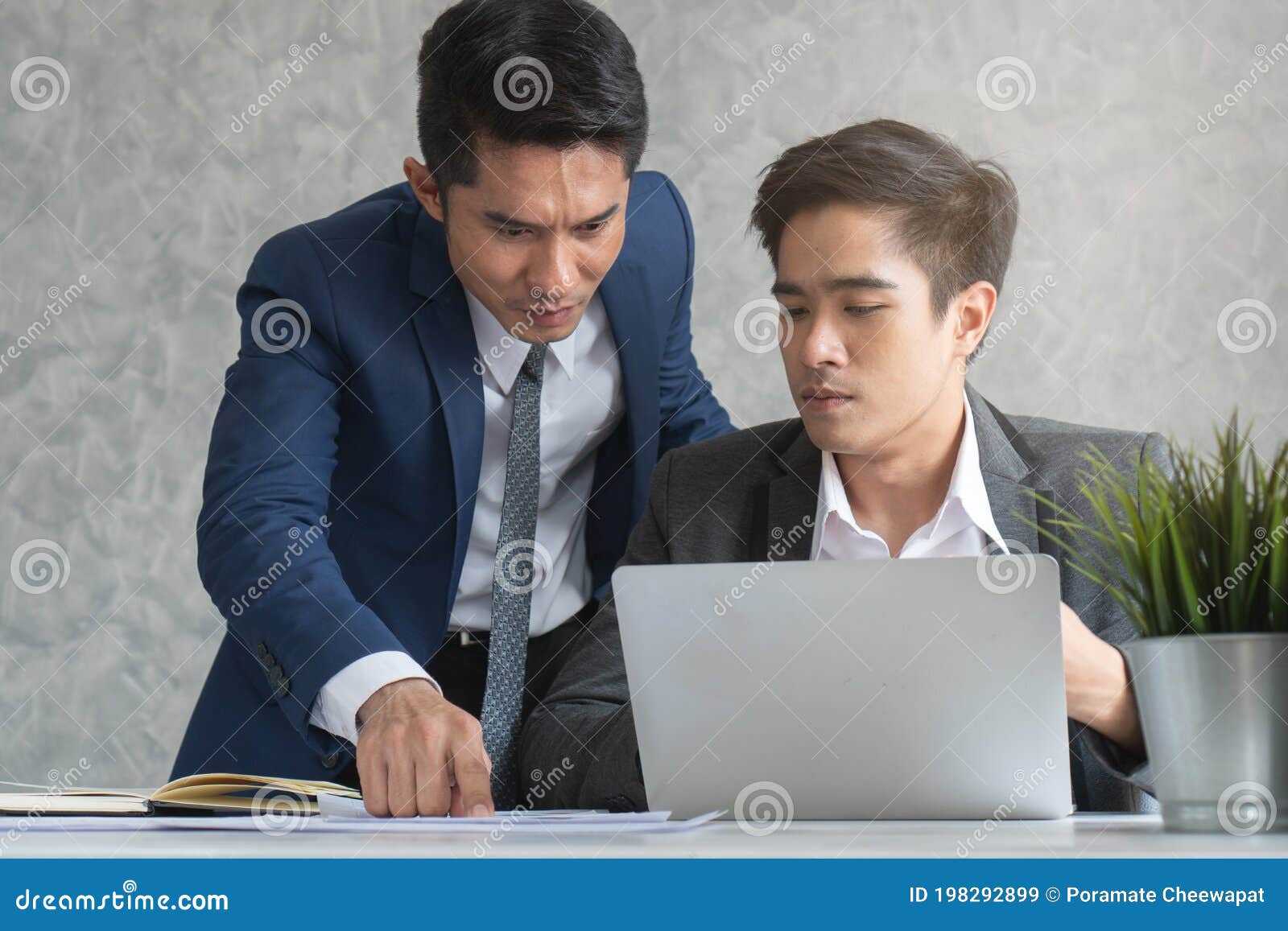 Manager Reviewing Work of Intern Worker Stock Image - Image of ...