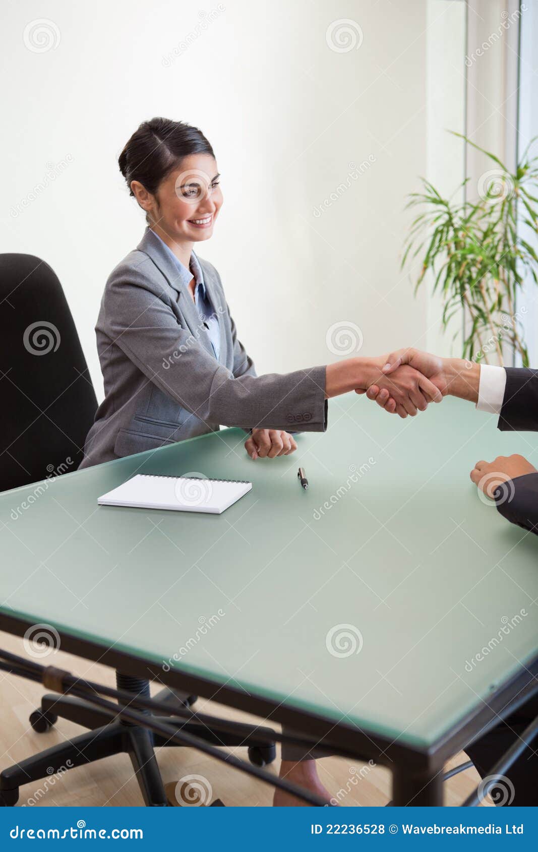 A Manager Shaking the Hand of a Customer Stock Photo - Image of manager ...