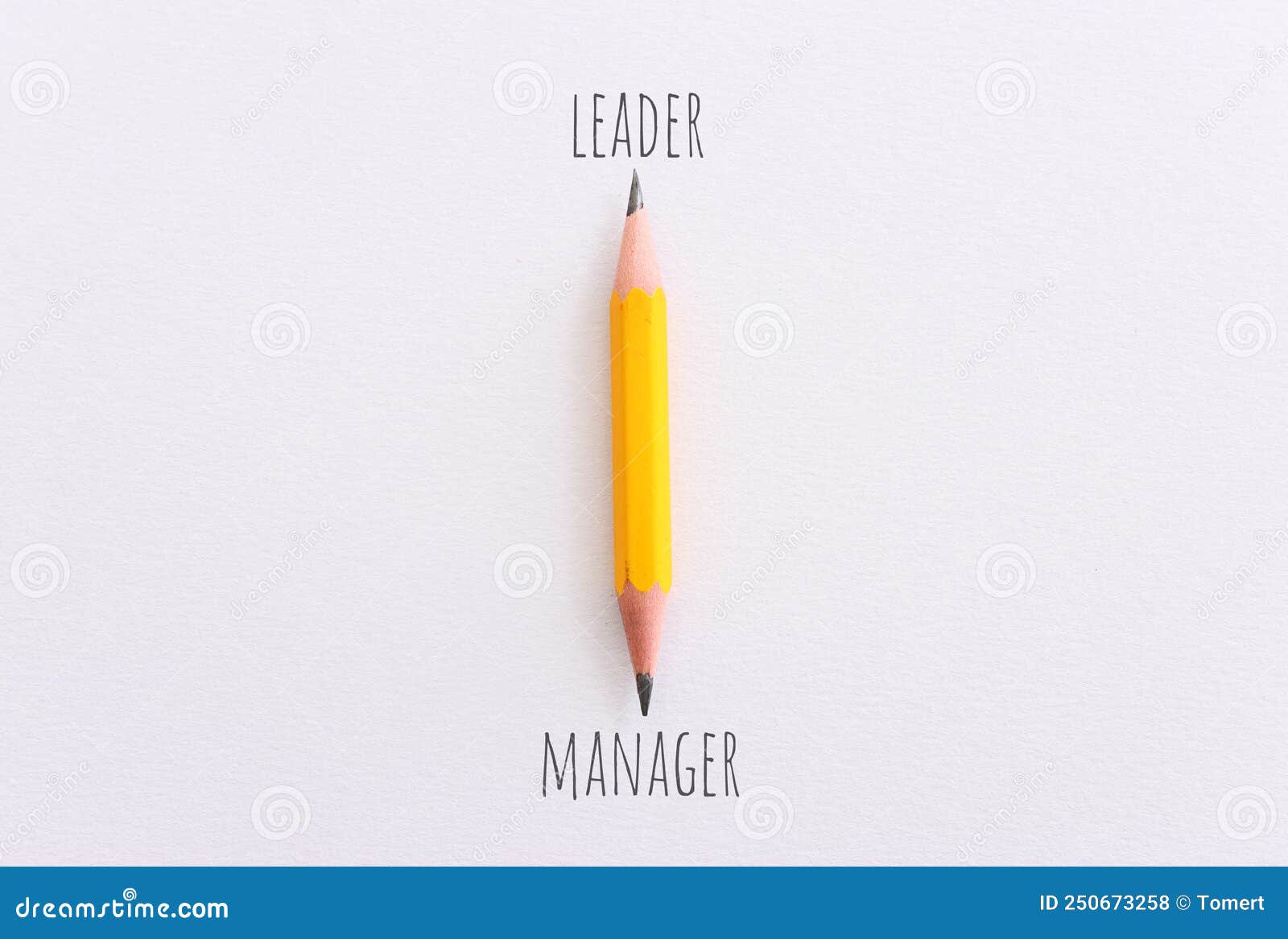 Manager Versus Leader Symbol. Businessman Flips Wooden Cubes And ...
