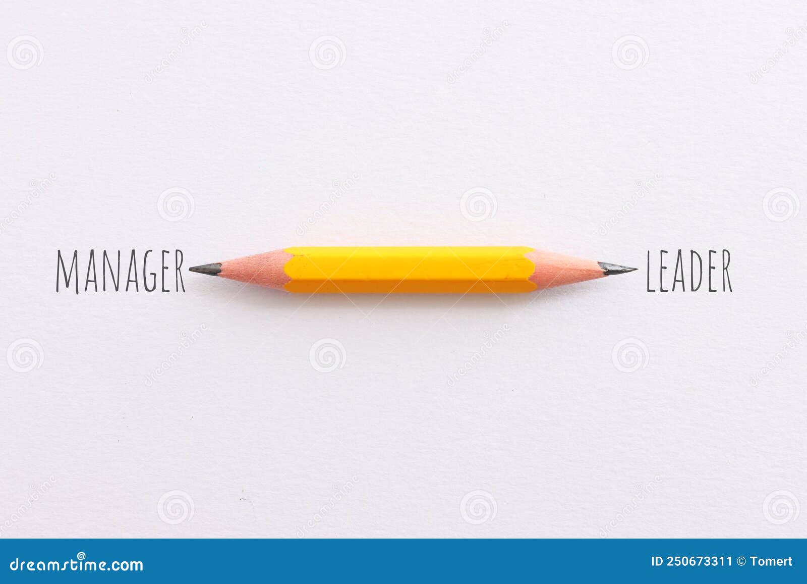Manager Versus Leader Symbol. Businessman Flips Wooden Cubes And ...