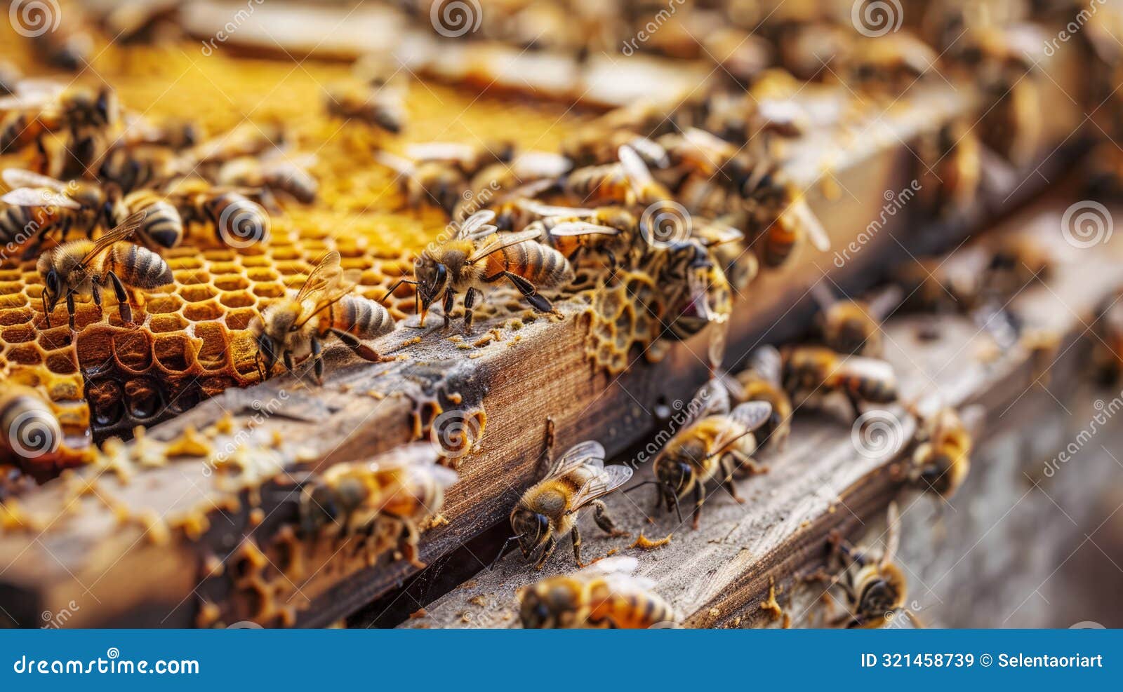 AI Art Of Honey Bee Hives Royalty-Free Stock Image | CartoonDealer.com ...