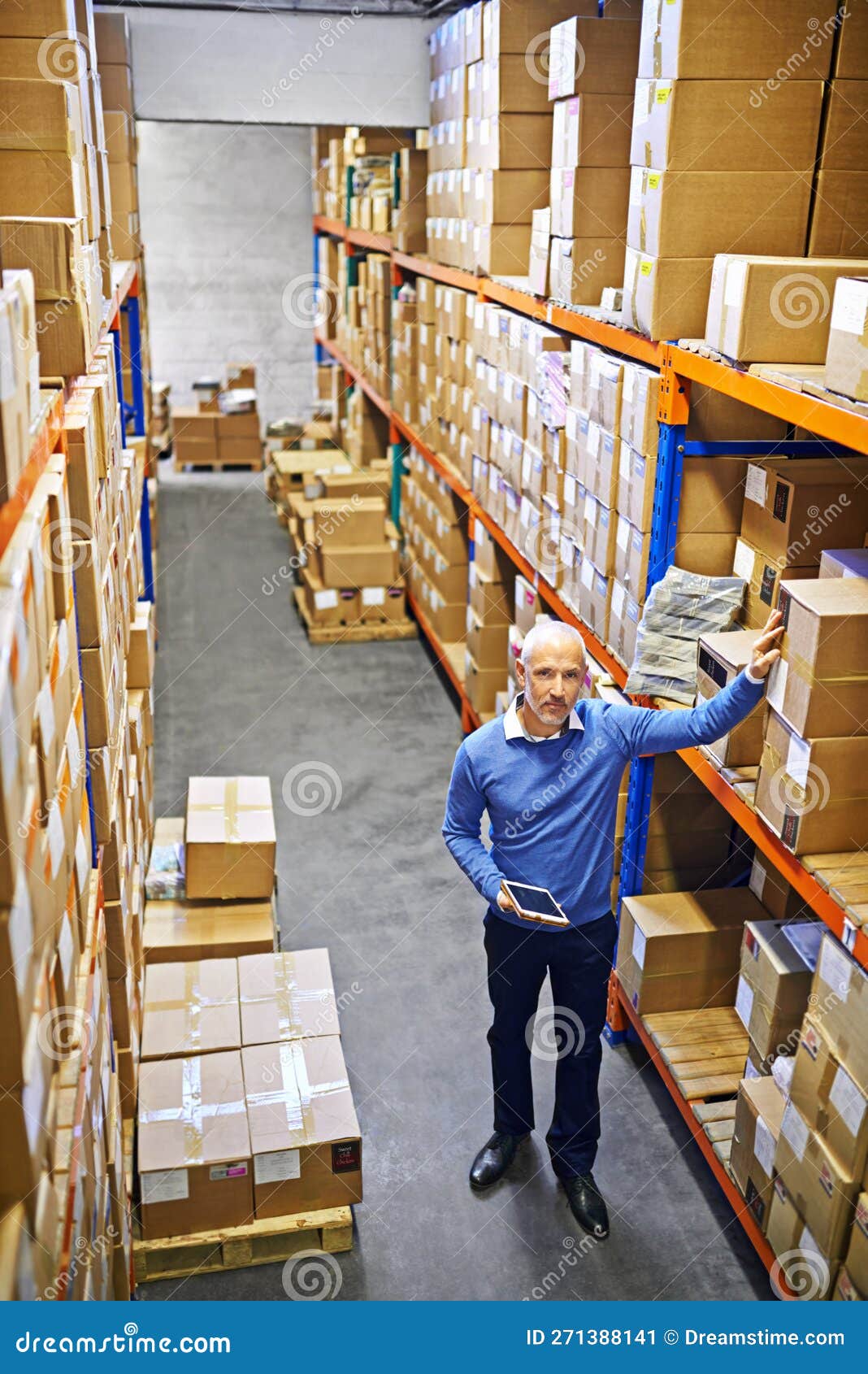 Managing Shipping Logistics. a Mature Man Working Inside in a ...