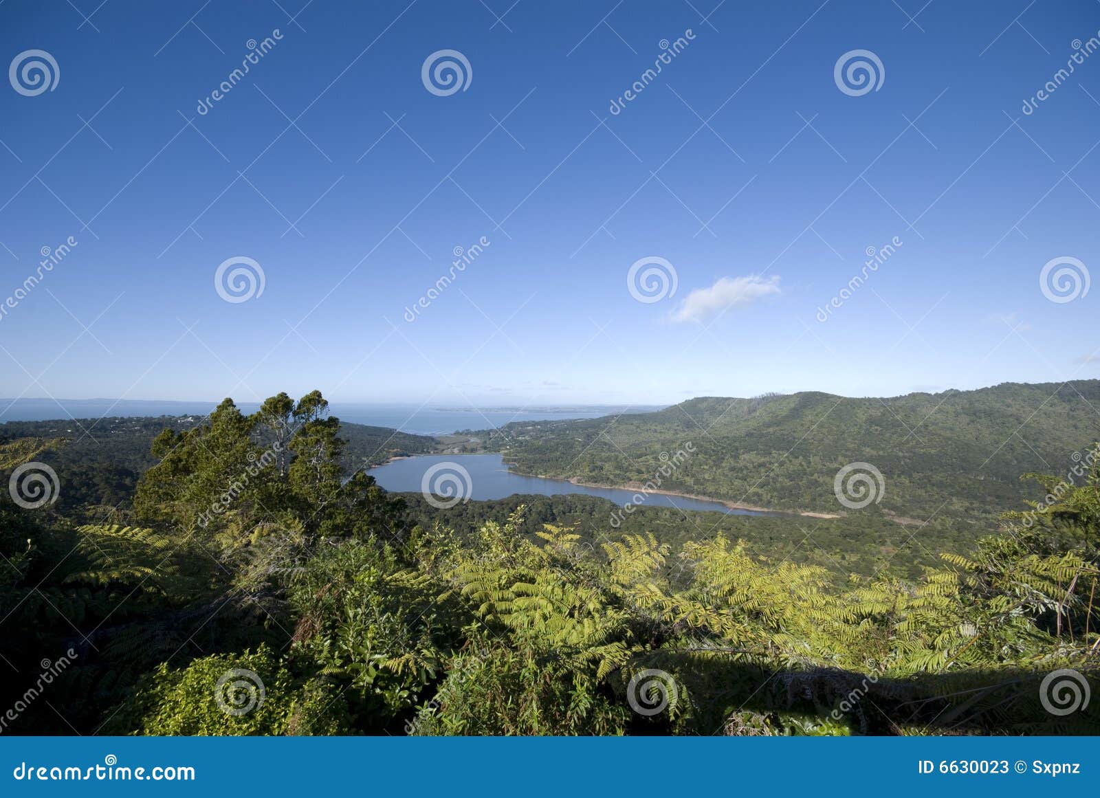 Manakau harbour stock image. Image of west, zealand, native - 6630023