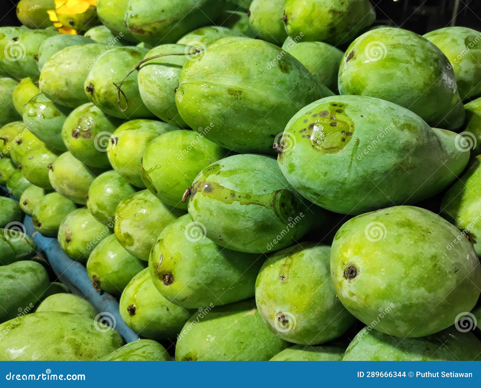 The Manalagi Mangoes Native Indonesian Fruit Stock Photo - Image of ...
