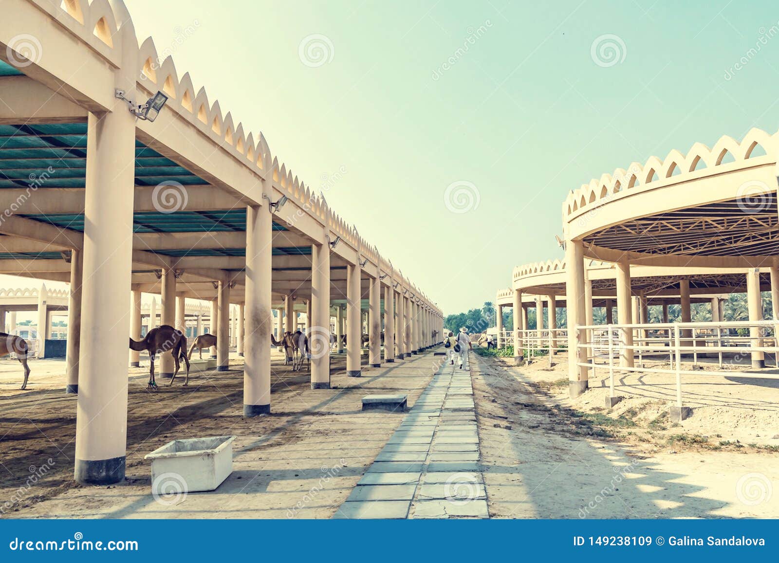 MANAMA, Bahrain - December 19, 2018: Path between the Rows on the Royal ...