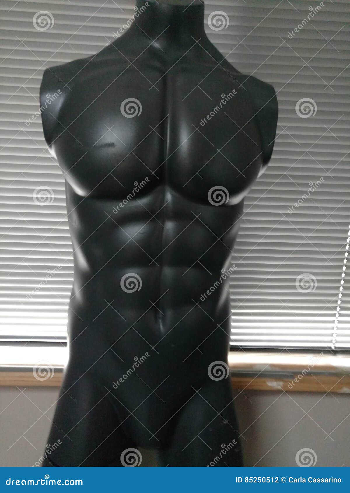 Manaquin stock photo. Image of abdomen, mannequin, wetsuit - 85250512
