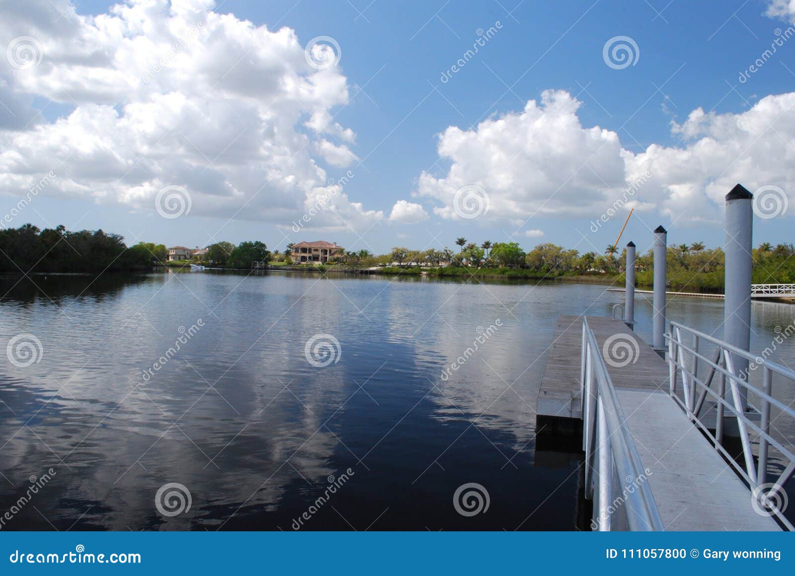 Manatee river in Florida stock photo. Image of florida - 111057800