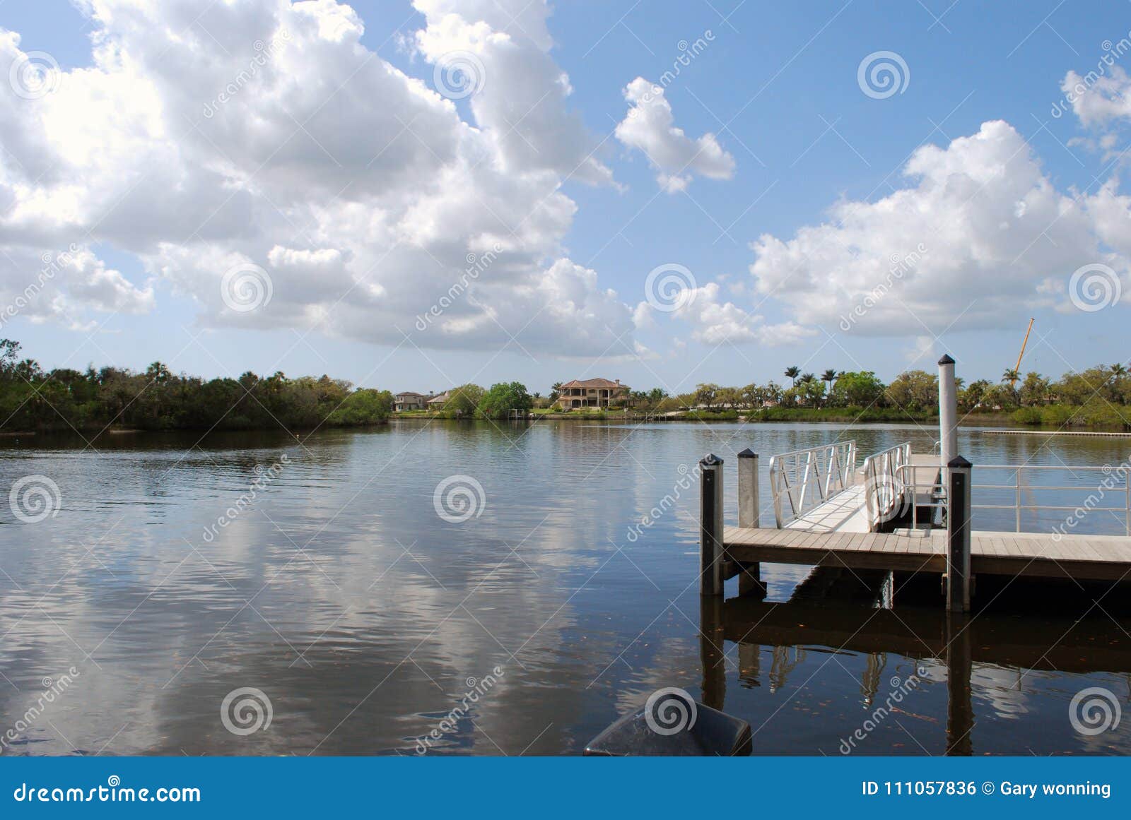 Manatee river in Florida stock photo. Image of manatee - 111057836