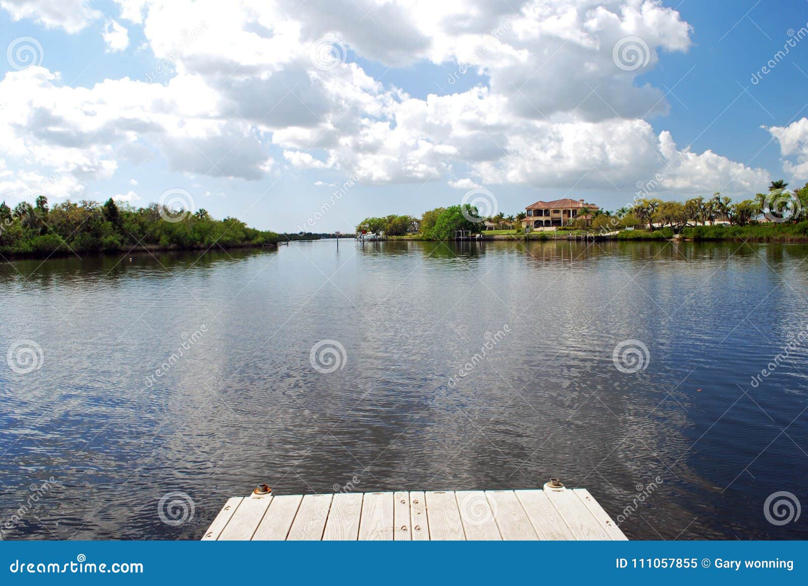 Manatee river in Florida stock image. Image of white - 111057855