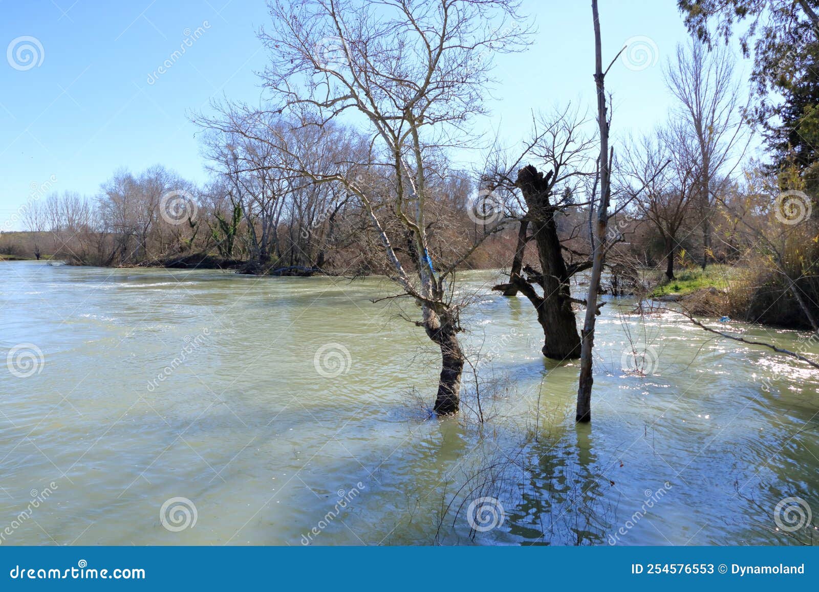 Manavgat Waterfall in Turkey in Winter Stock Image - Image of forest ...