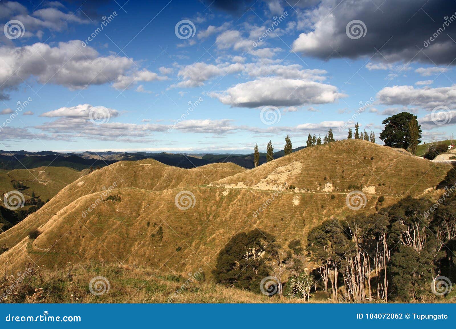Manawatu stock foto. Afbeelding bestaande uit north - 104072062