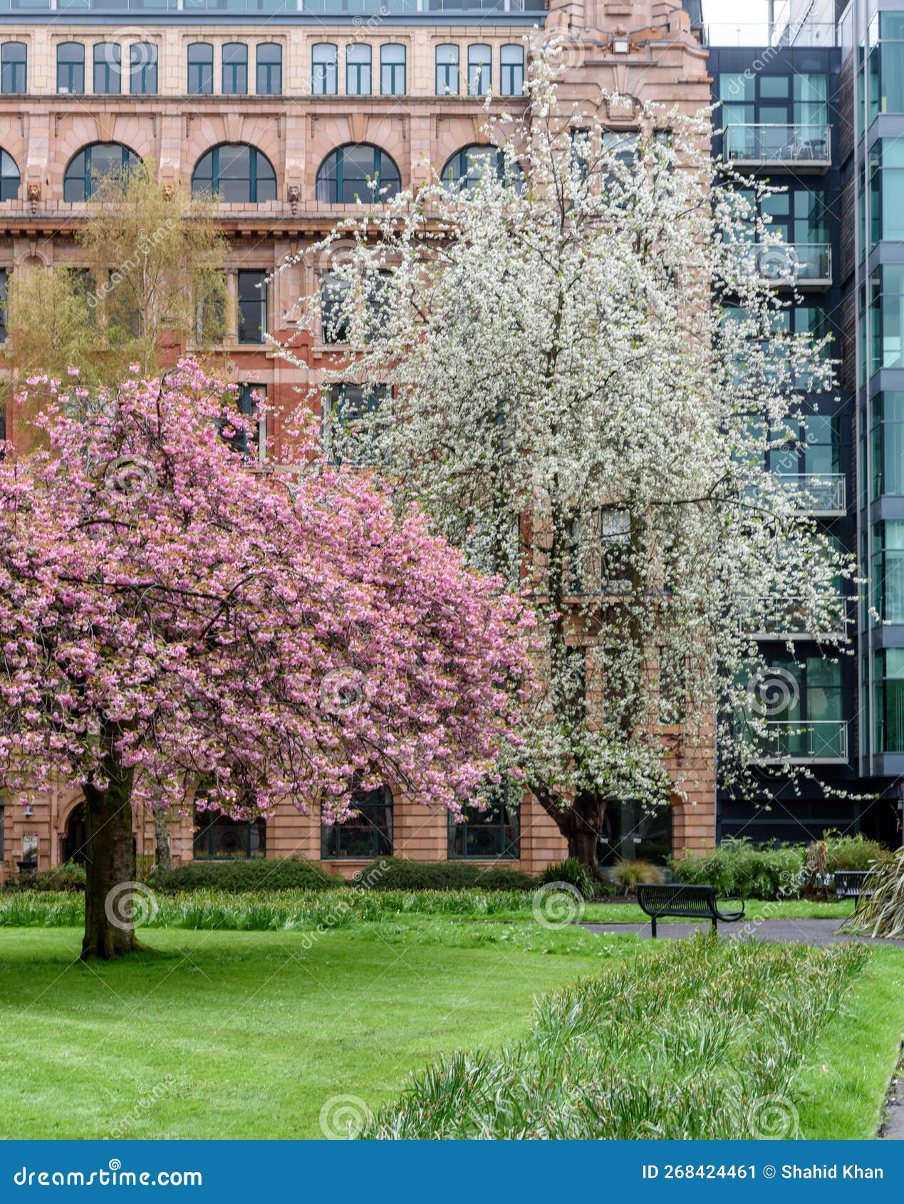 Manchester England UK stock image. Image of fresh, europe - 268424461