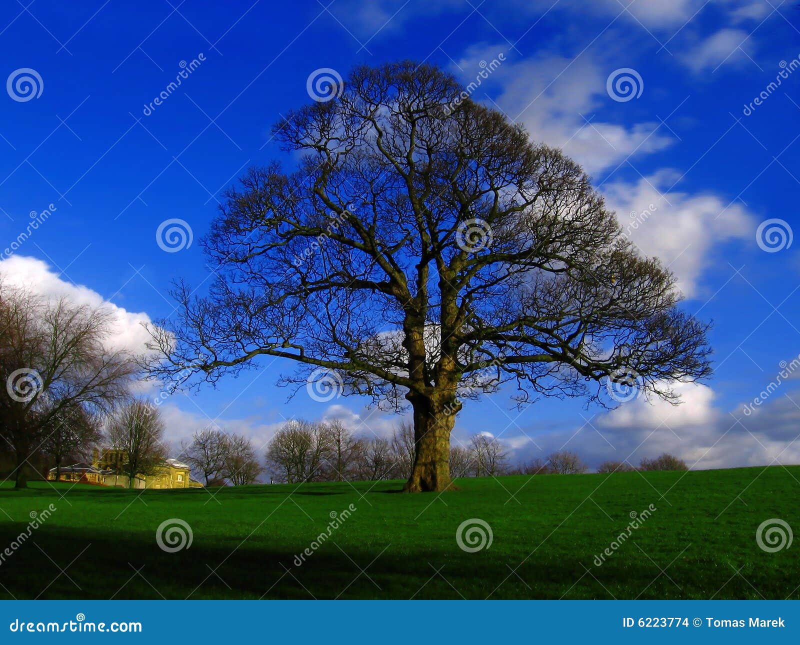 Manchester, Heaton Park, England, UK Stock Photo - Image of cloud, high ...