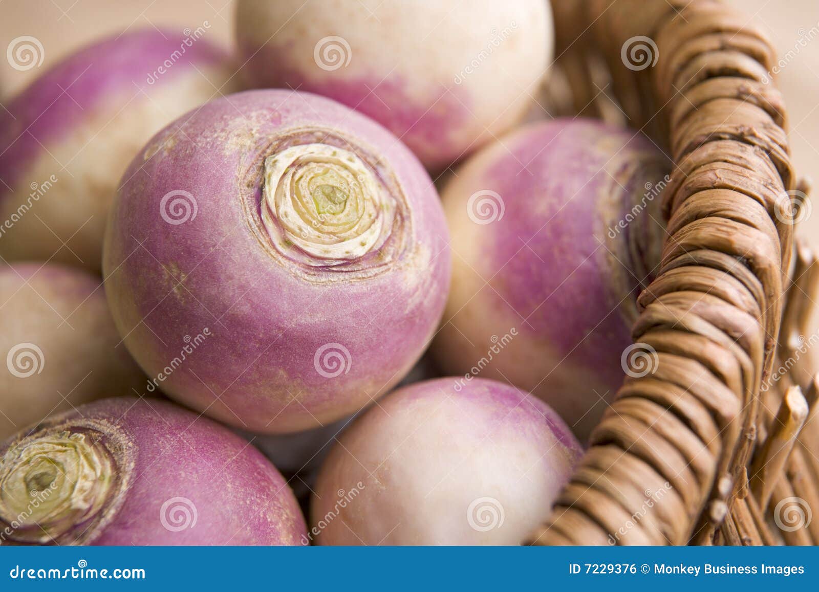 Mand van Rapen stock foto. Image of hoek, nave, mensen - 7229376