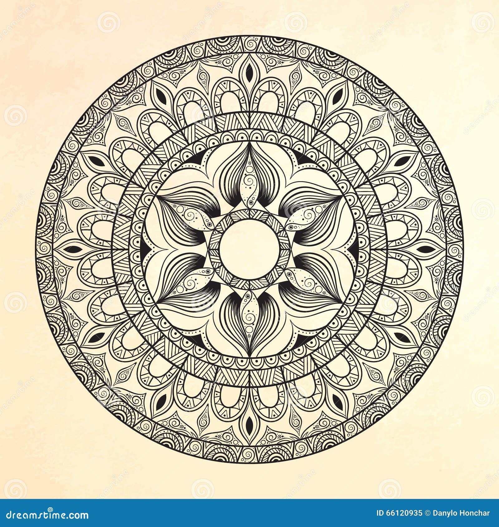 Mandala Círculo ornament ilustración del vector. Ilustración de floral ...