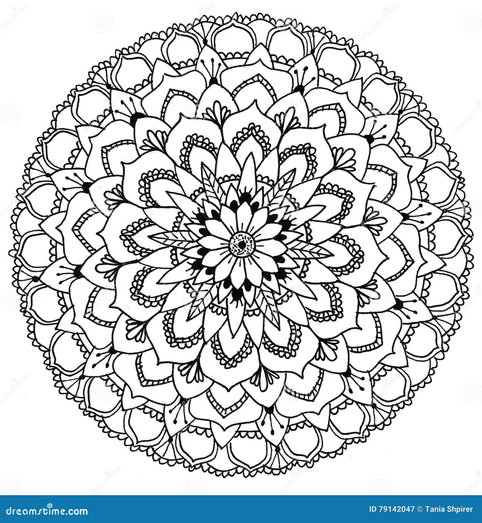 Mandala da colorare illustrazione di stock. Illustrazione di modelli ...