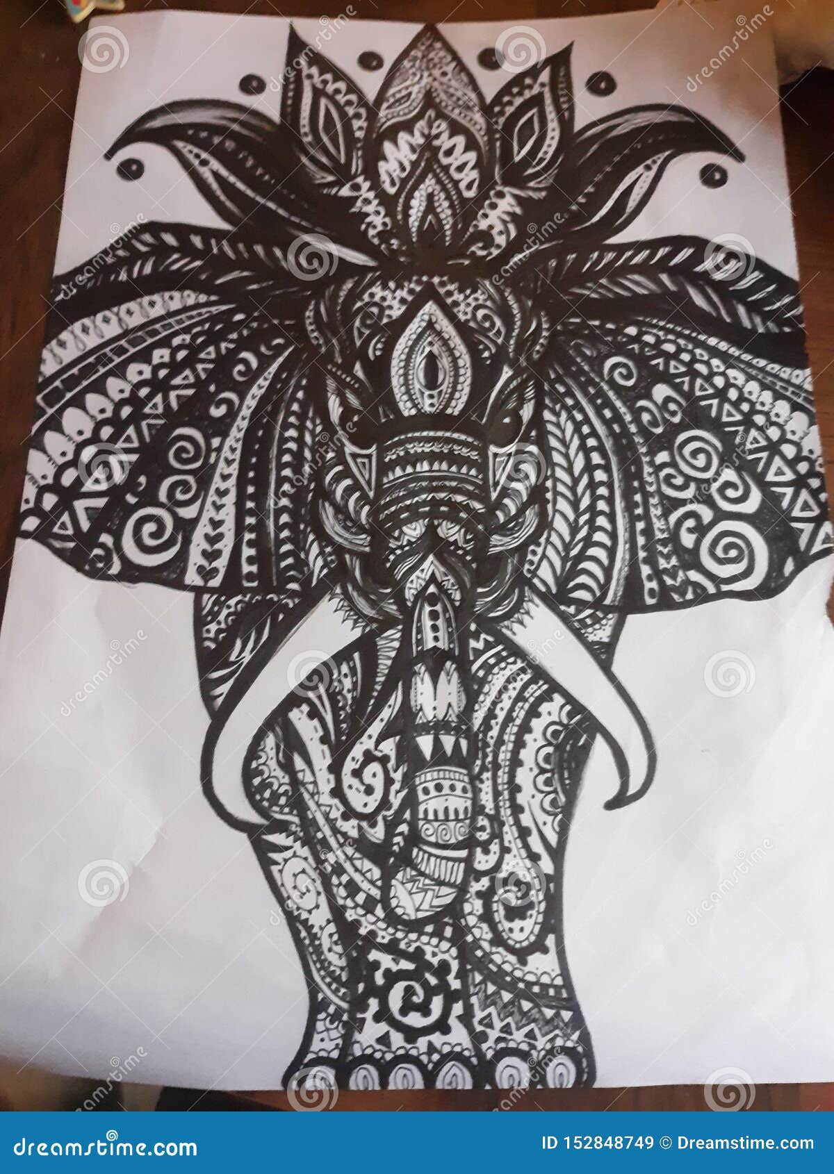 Elephant Mandala Stock Photos - Download 51 Royalty Free Photos