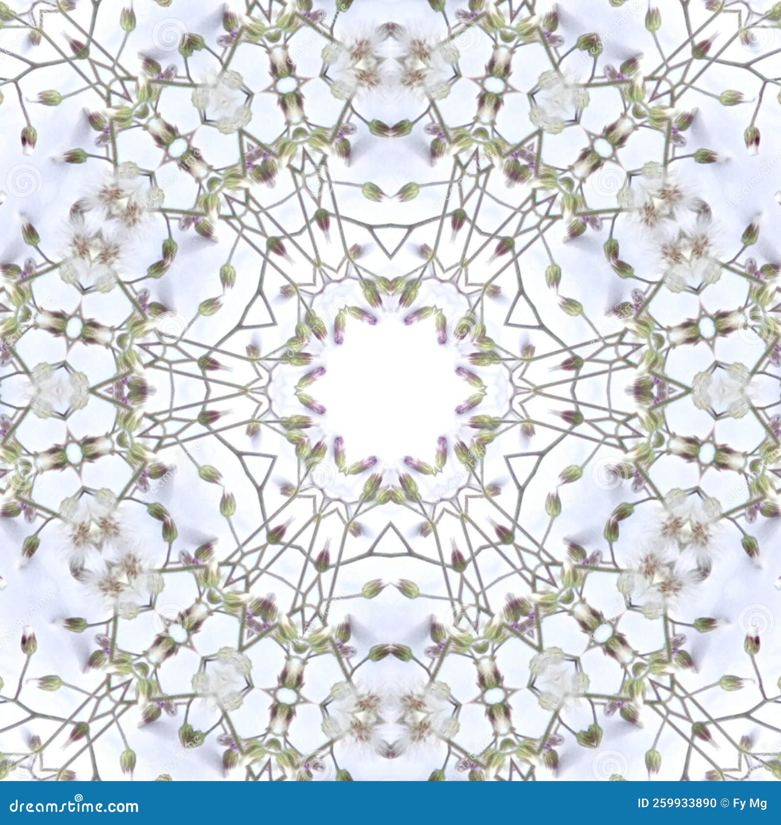 Mandala of Real Flowers. Wild Natural Flowers Background. Real Spring ...