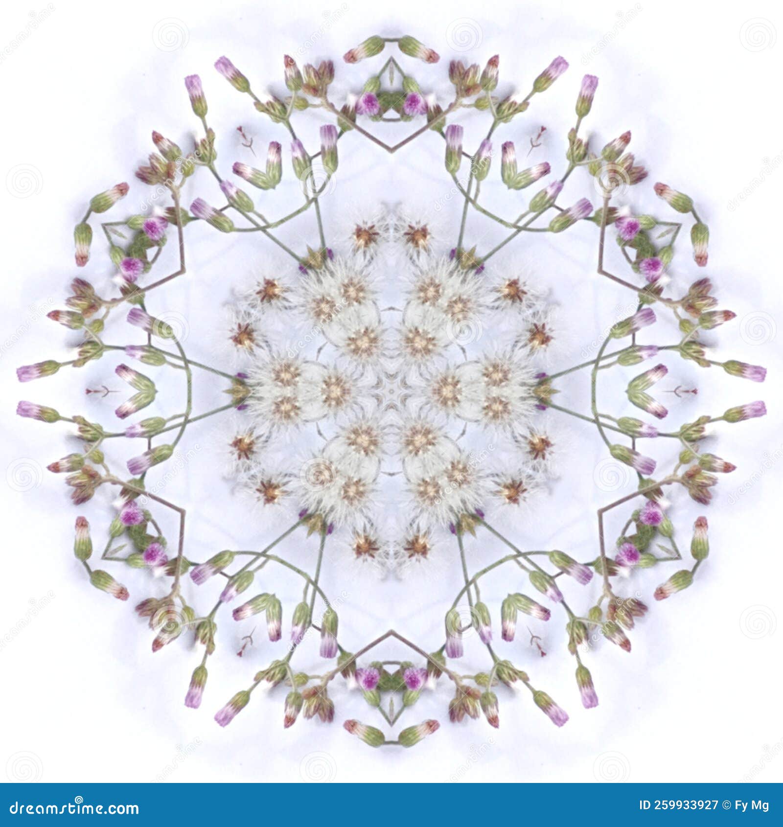 Mandala of Real Flowers. Wild Natural Flowers Background. Real Spring ...