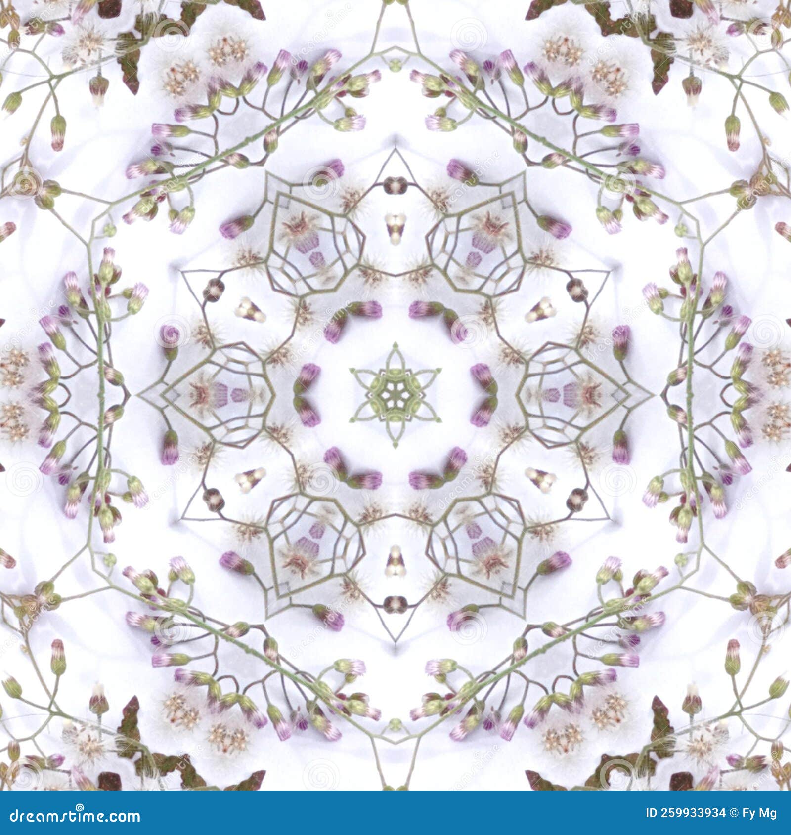 Mandala of Real Flowers. Wild Natural Flowers Background. Real Spring ...