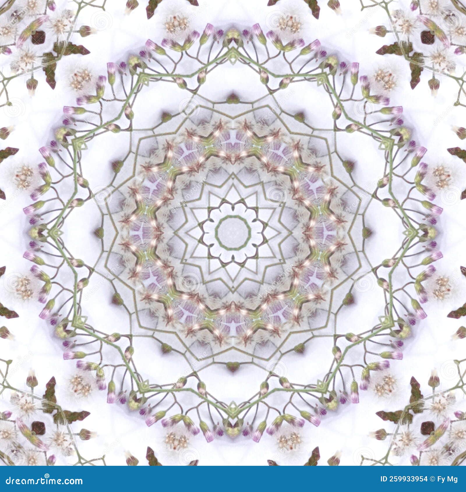 Mandala of Real Flowers. Wild Natural Flowers Background. Real Spring ...