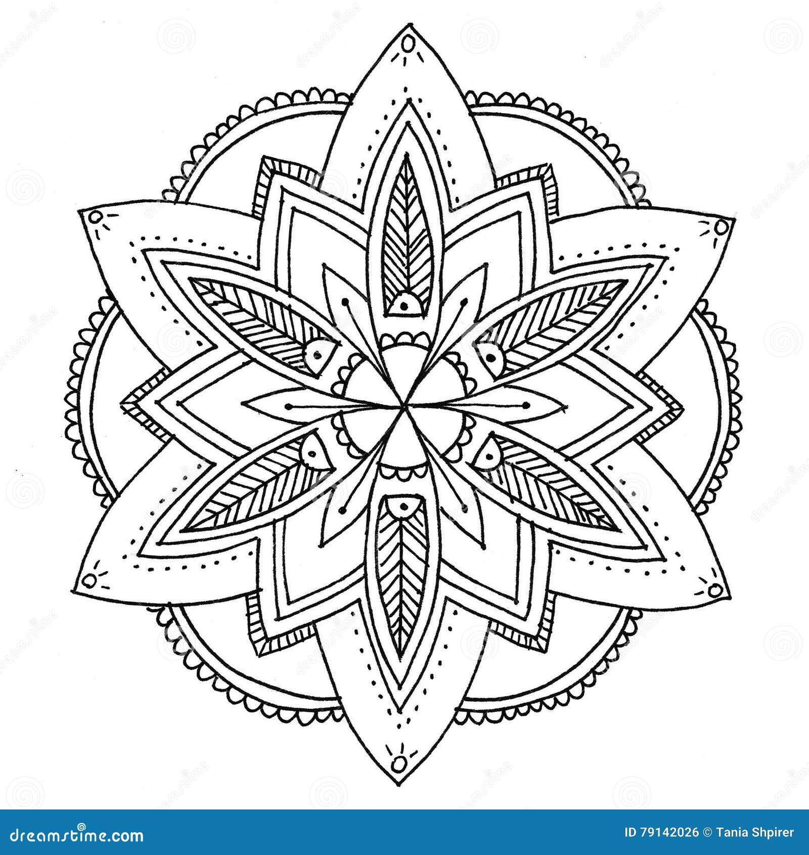 Mandala to color stock illustration. Illustration of mandalas - 79142026