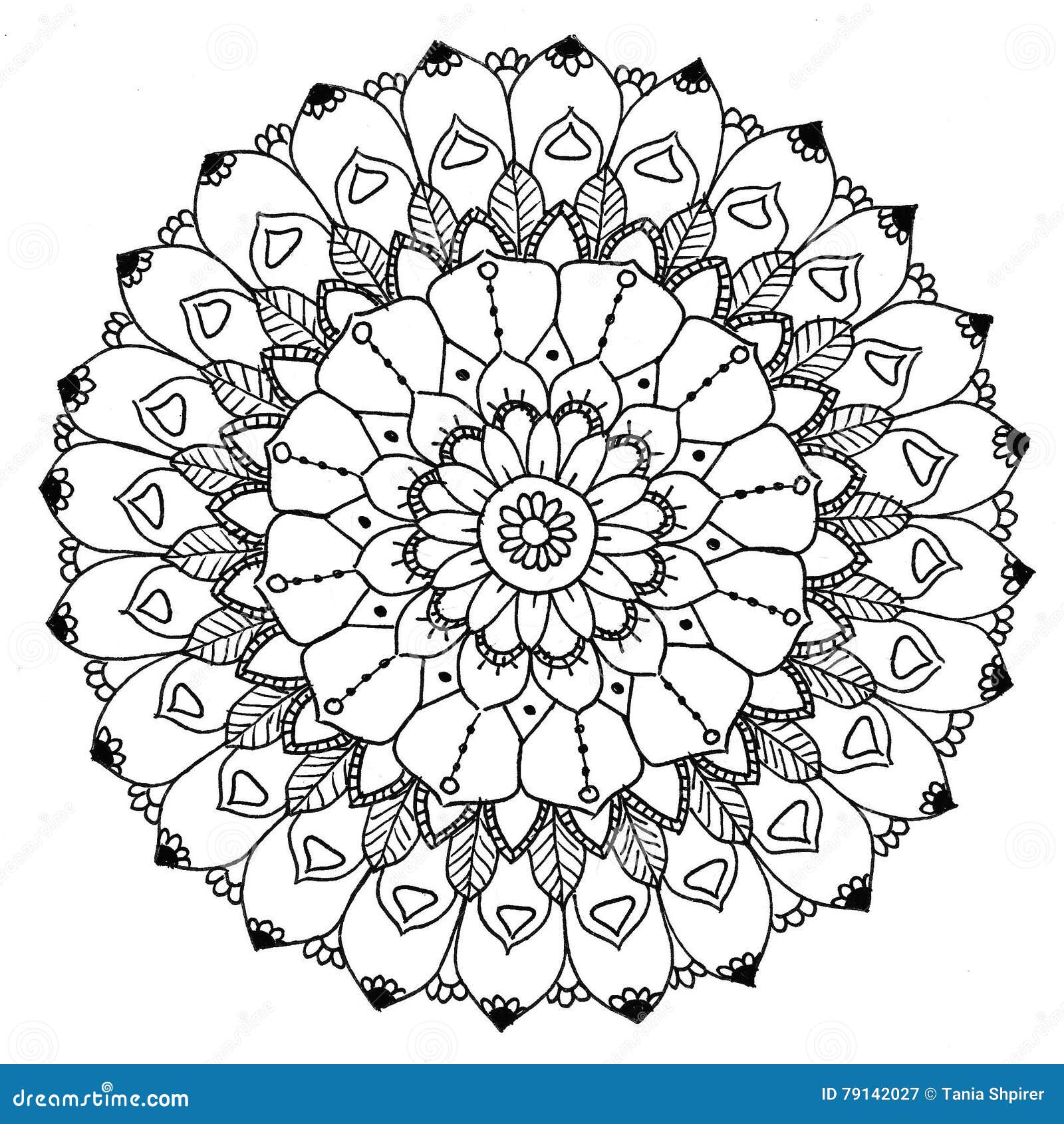 Mandala to color stock illustration. Illustration of patterns - 79142027