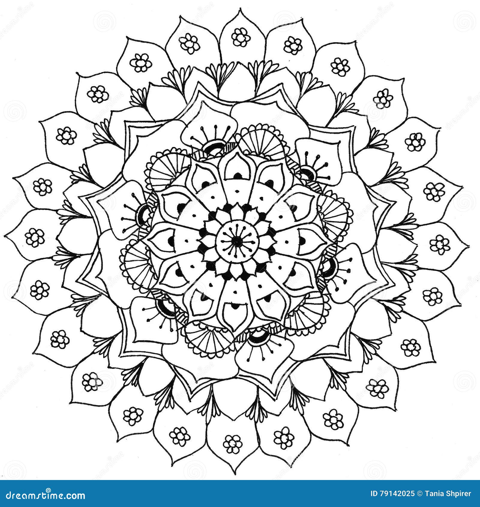 Mandala To Color Royalty-Free Stock Photo | CartoonDealer.com #79142025