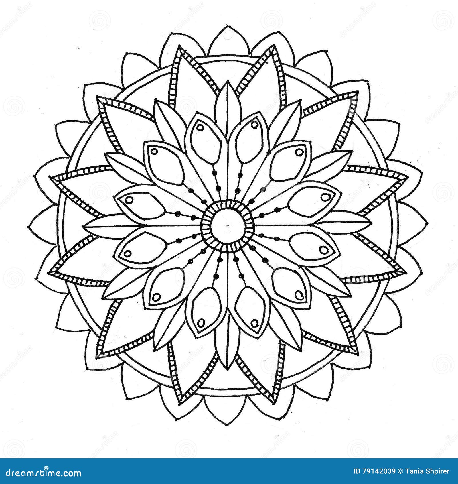Mandala to color stock illustration. Illustration of details - 79142039