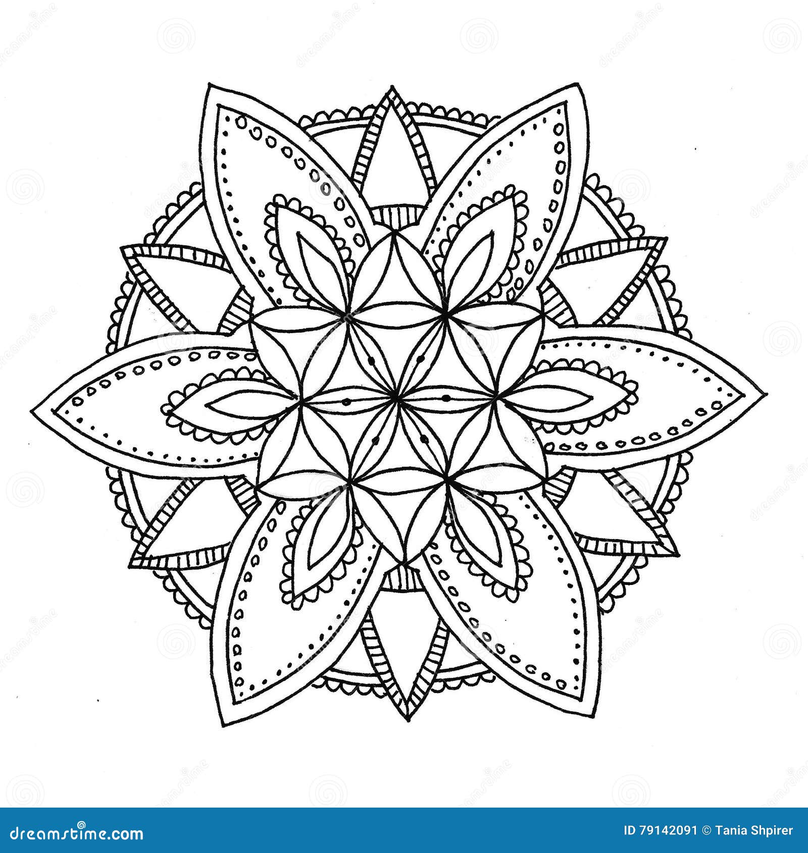Mandala to color stock illustration. Illustration of designed - 79142091