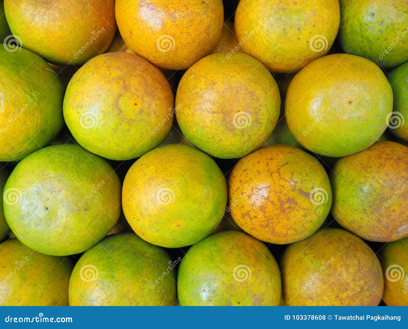 Mandarijn stock foto. Image of vrucht, citrusvrucht - 103378608