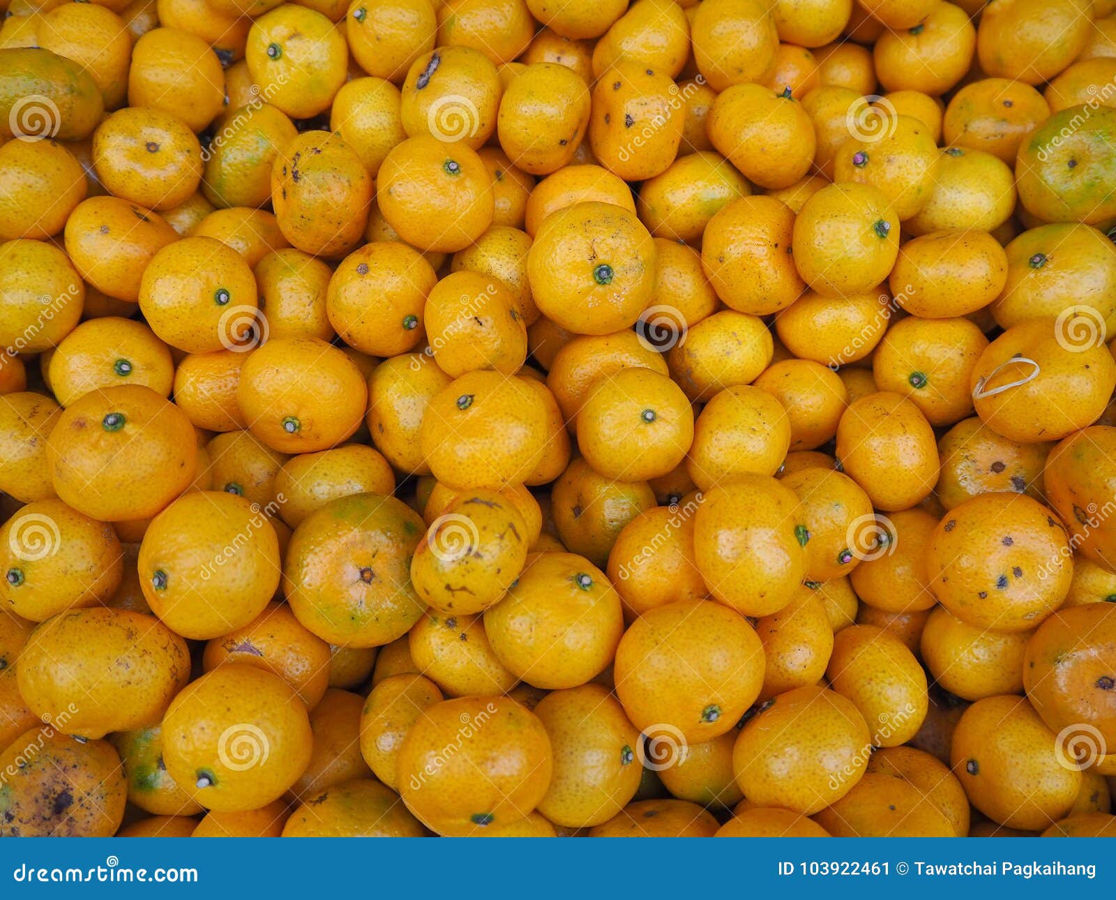 Mandarijn stock afbeelding. Image of sinaasappel, achtergrond - 103922461