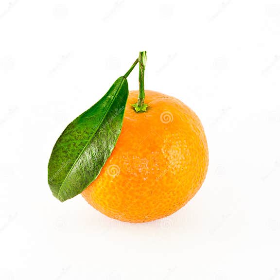 Mandarijn stock afbeelding. Image of sinaasappel, mandarijn - 35235091